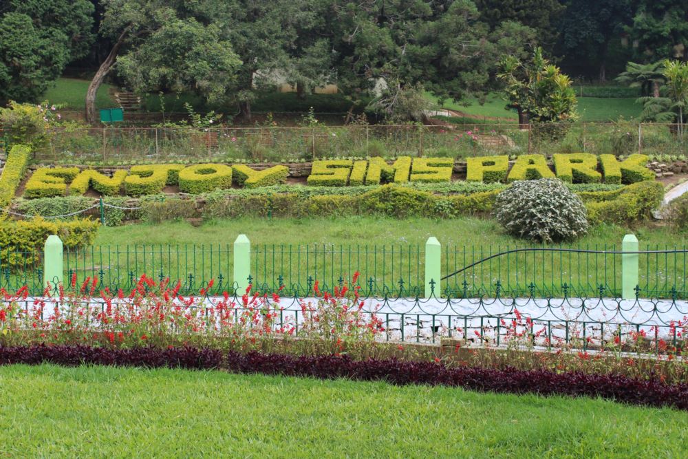 AMNS International School - Trip Photo Gallery