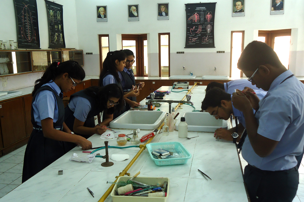 AMNS International School Campus | AMNS International School Facilities